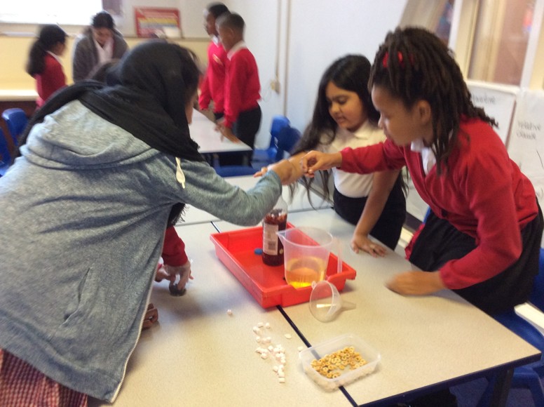 Year 6 - Seymour Park Community Primary School