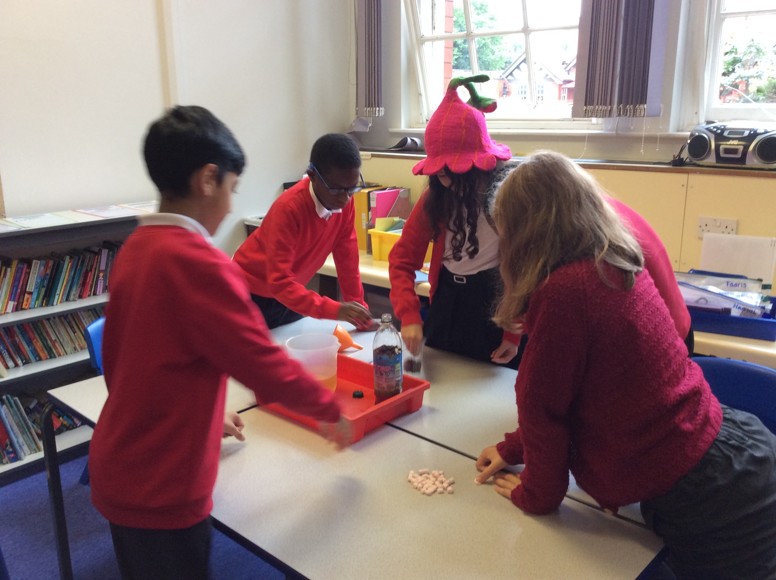 Year 6 - Seymour Park Community Primary School