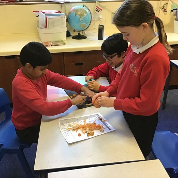 Year 6 - Seymour Park Community Primary School