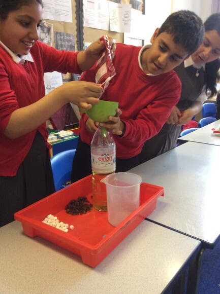 Year 6 - Seymour Park Community Primary School